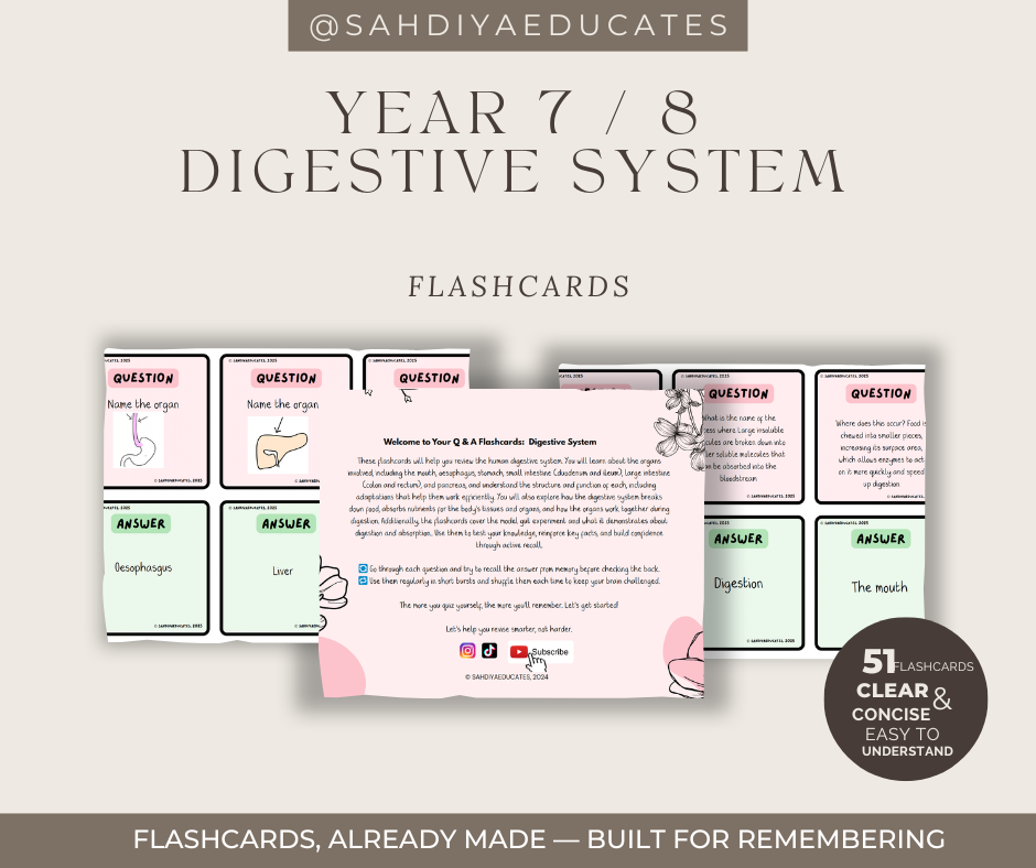 Digital file- Flashcards Y7/8 - Digestive system – Sahdiya Educates | Sews